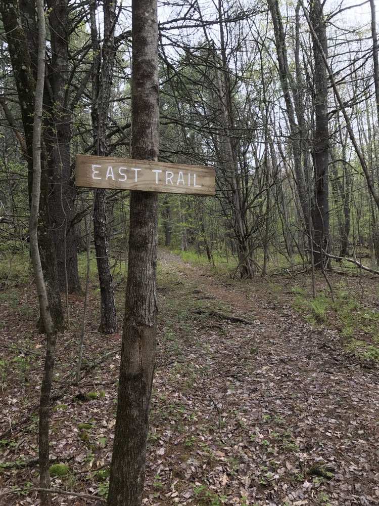 Delaney Woods - SVT - VMBA