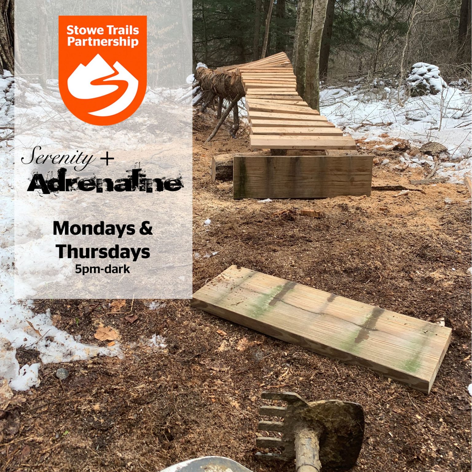 STP Serenity & Adrenaline Project Work Nights - VMBA