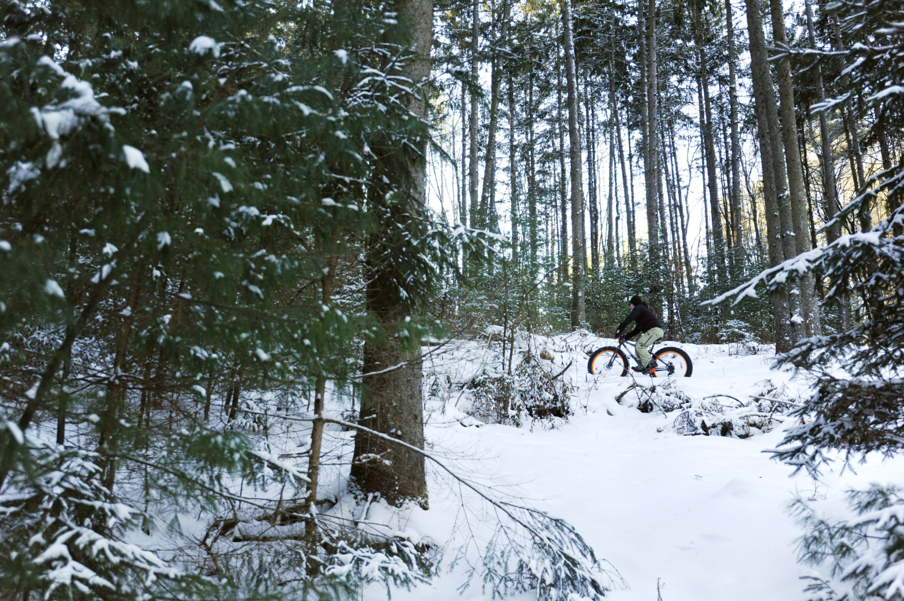 Trails in Vermont - VMBA